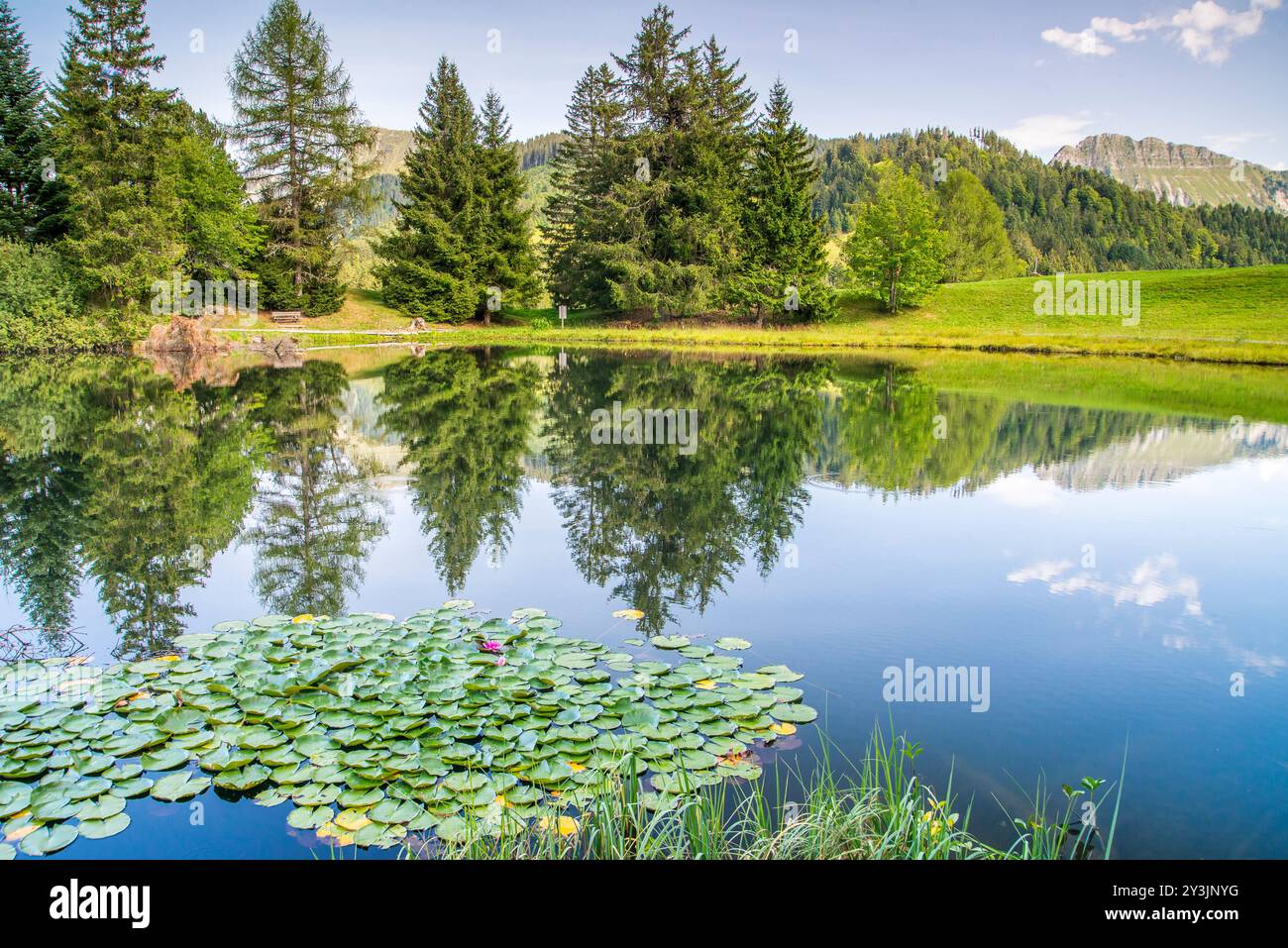 Joncs Lake in Les Paccots, Châtel-St-Denis, Switzerland Stock Photo - Alamy