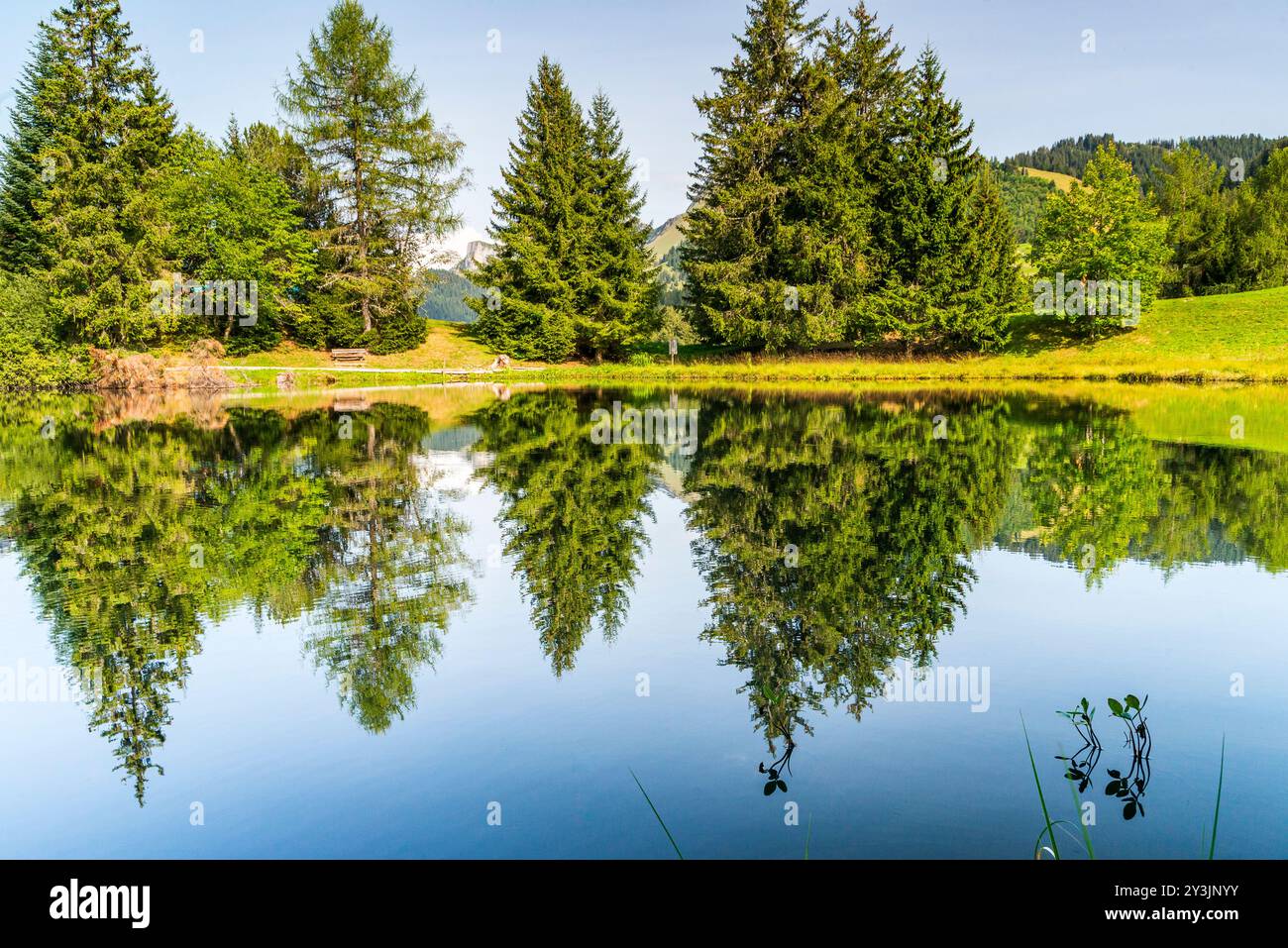 Joncs Lake in Les Paccots, Châtel-St-Denis, Switzerland Stock Photo - Alamy