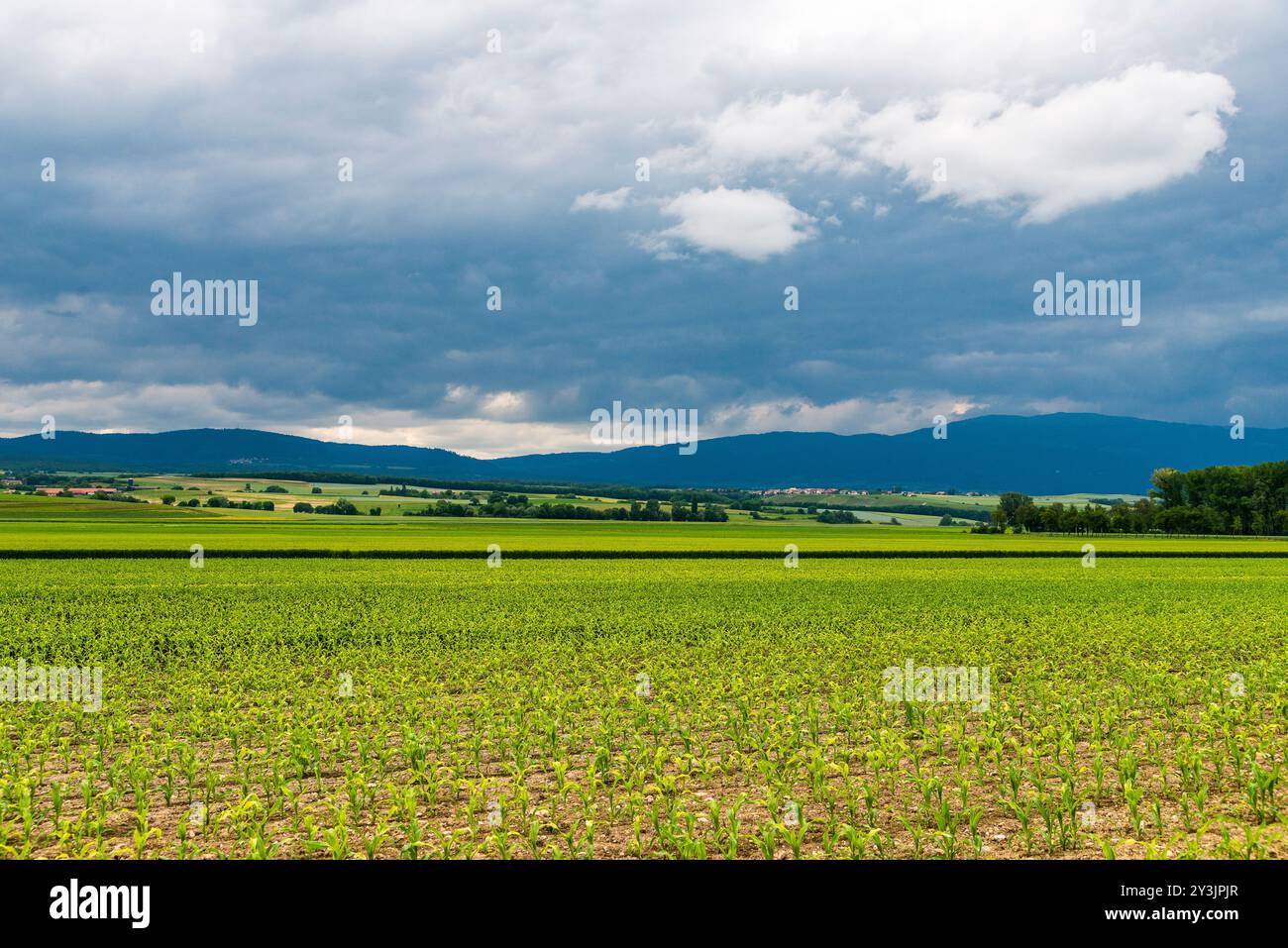 Orbe plain hi-res stock photography and images - Alamy