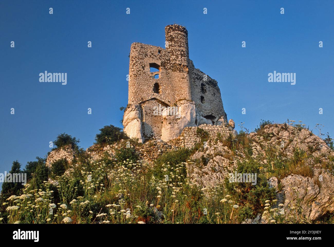 Ruined castle, 14th century, limestone rocks, at Eagles Nests Trail ...