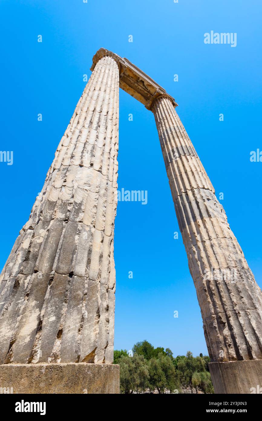 The ruins of the Temple of Apollo at Didyma ancient greek city. Didyma ...
