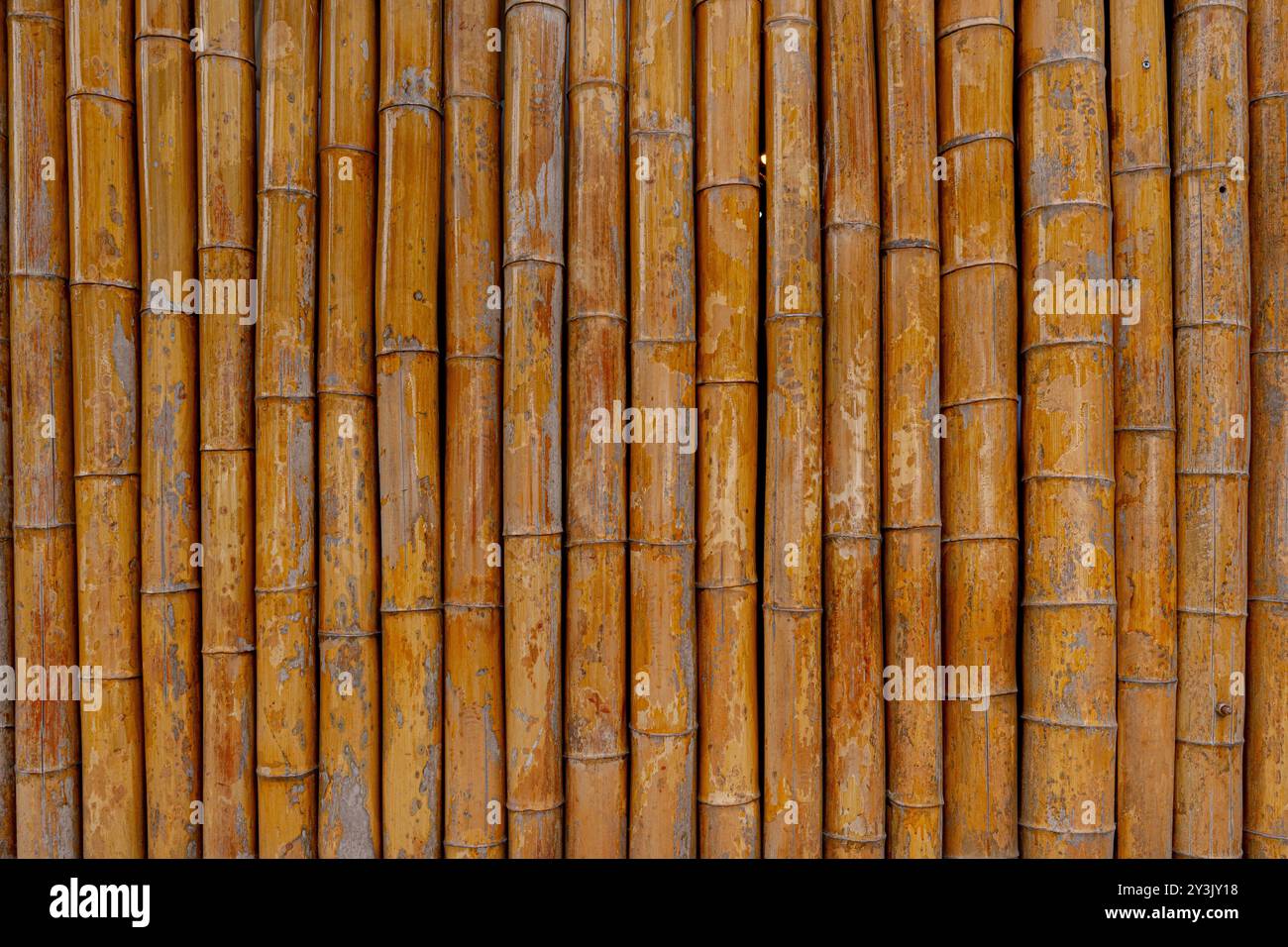 Texture of a wall made of bamboo trunks Stock Photo - Alamy