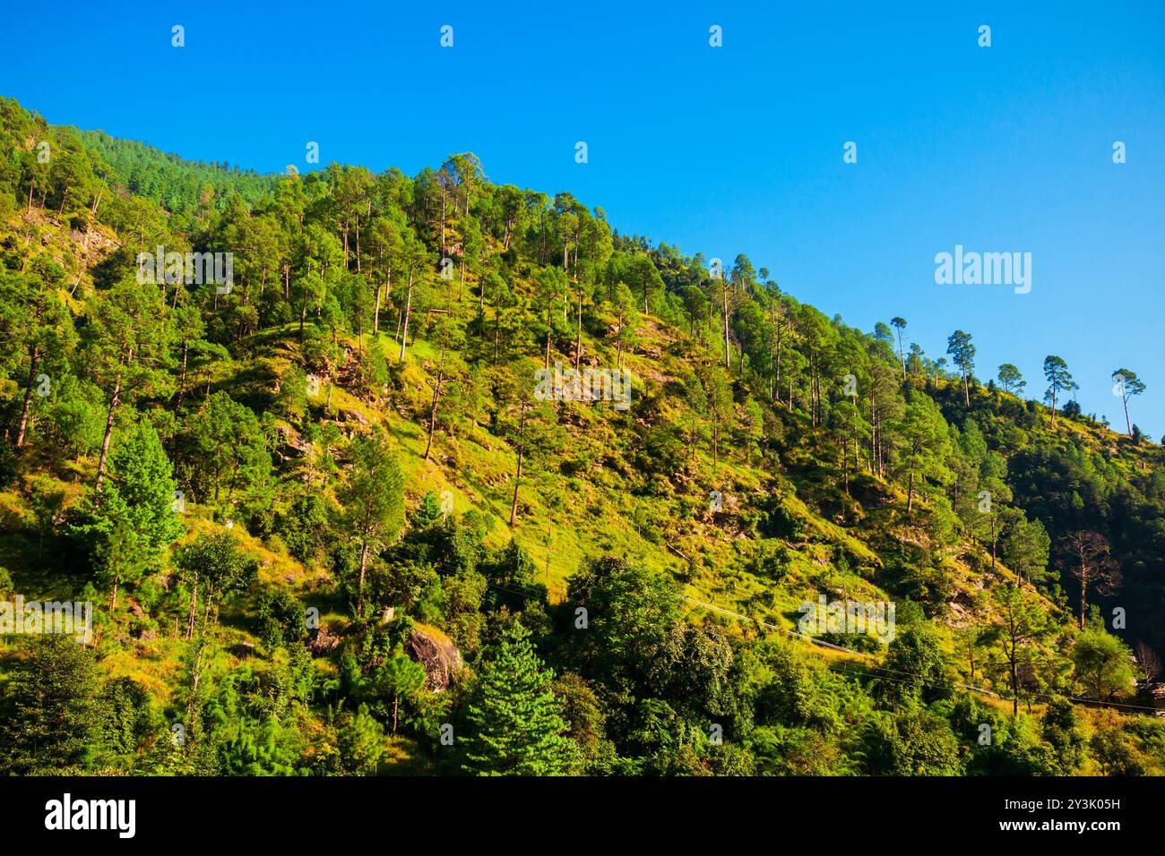 Scenic landscape panoramic view of the forested Himalaya mountains ...