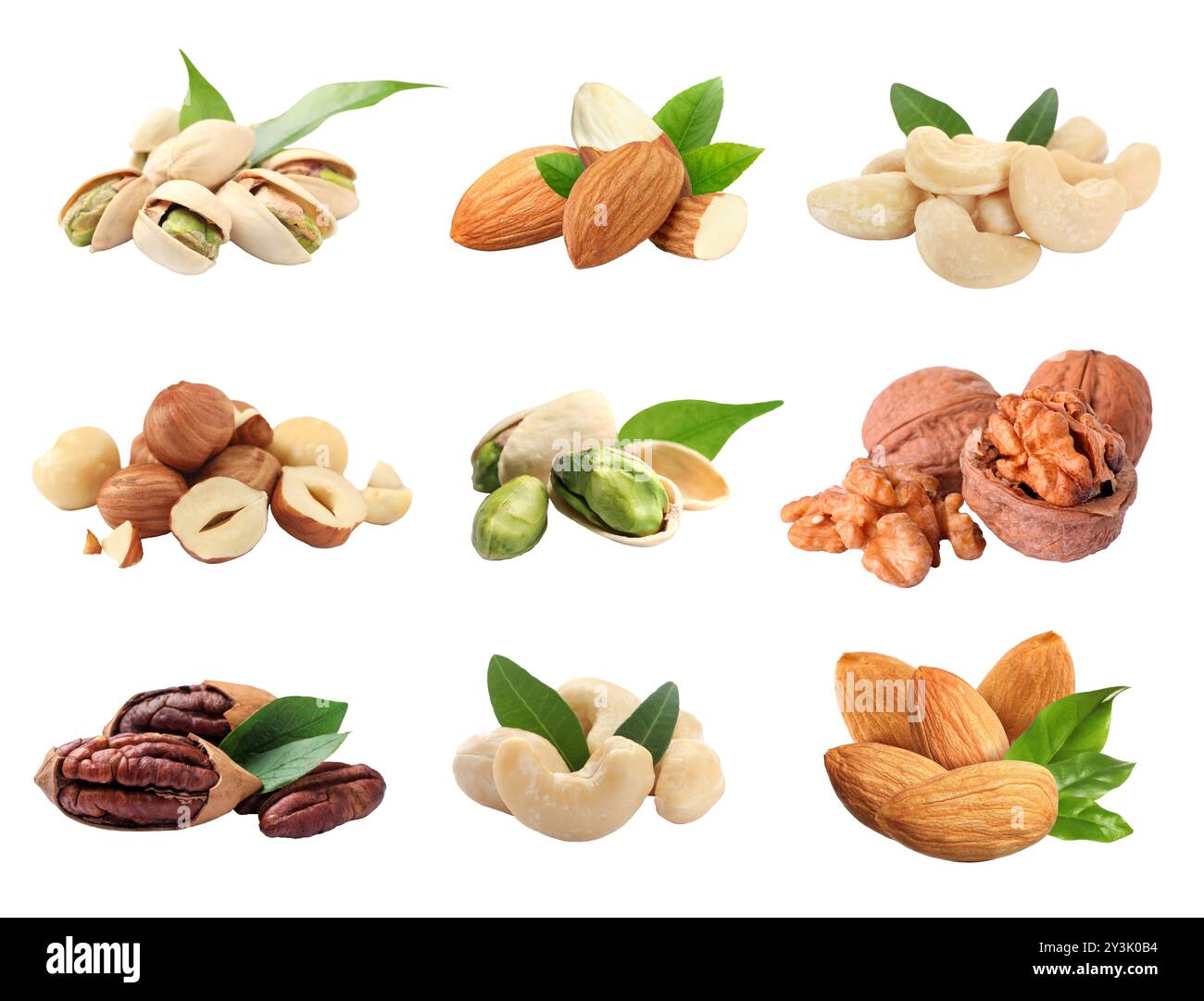 Different nuts on white background, collection. Pecan, walnut, almond ...