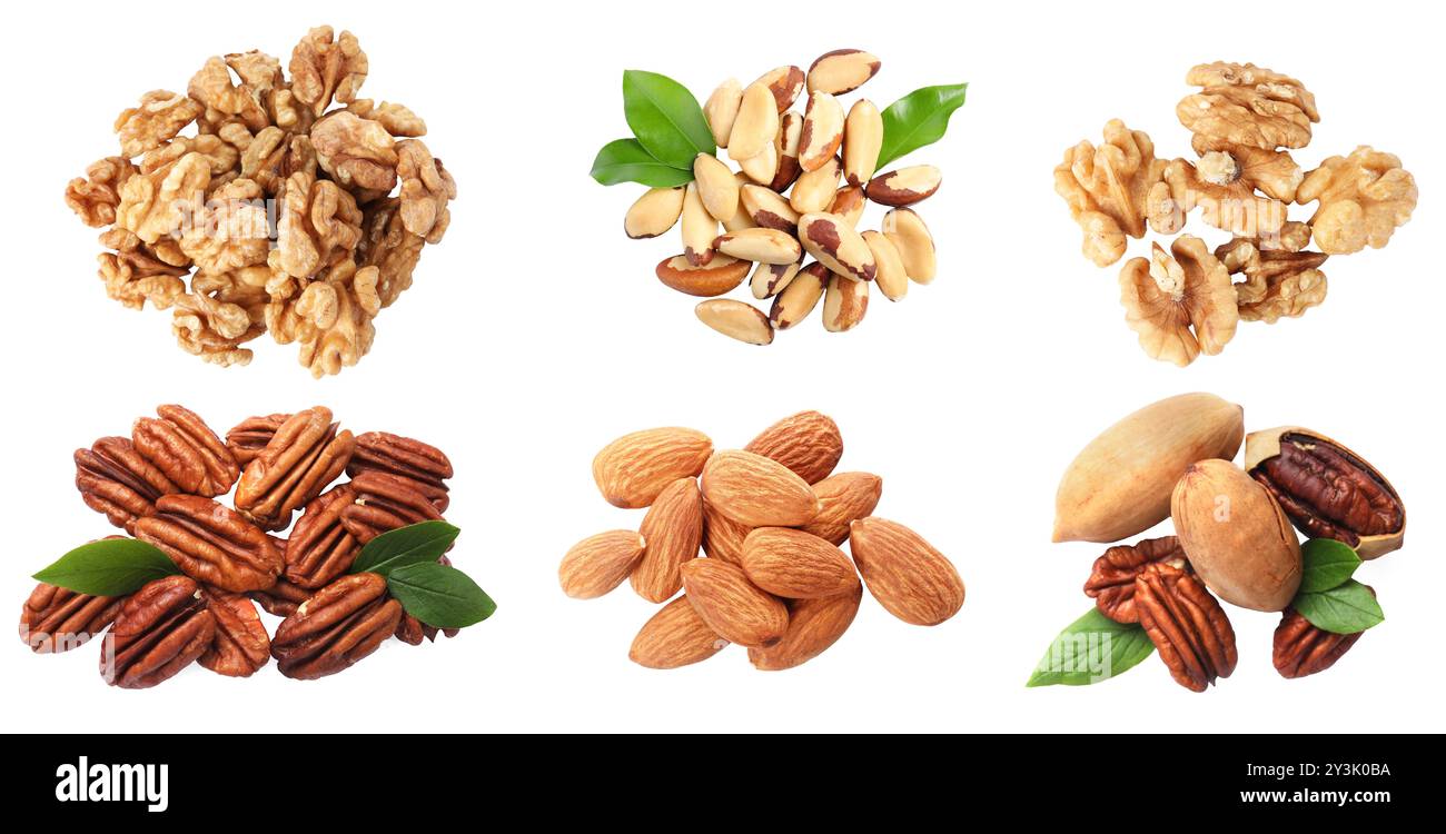 Different nuts on white background, collection. Pecan, walnut, almond ...