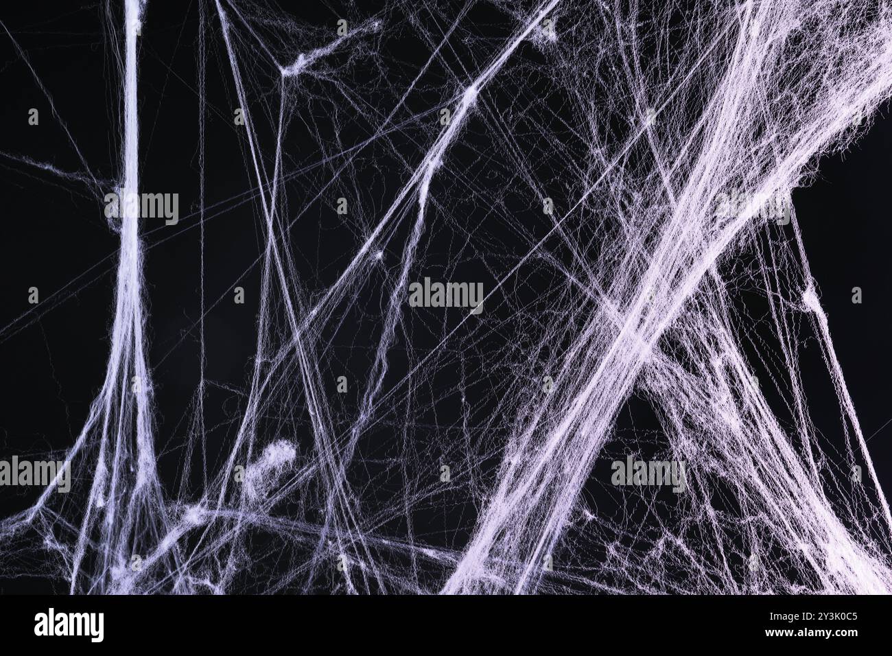 Cobweb against black background, toned in gradient violet color Stock ...