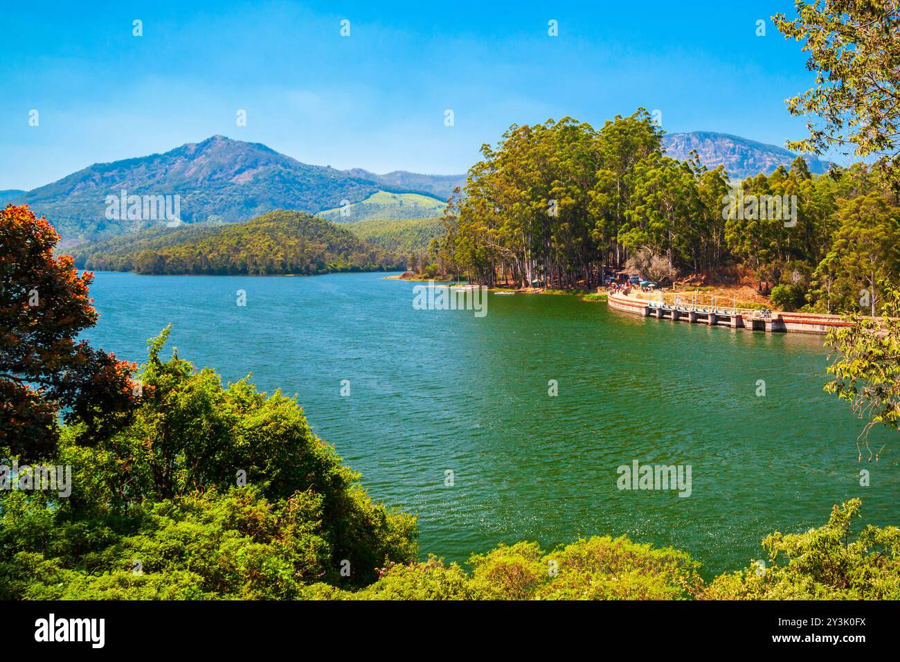 Dam lake near the Munnar town in Kerala state of India Stock Photo - Alamy