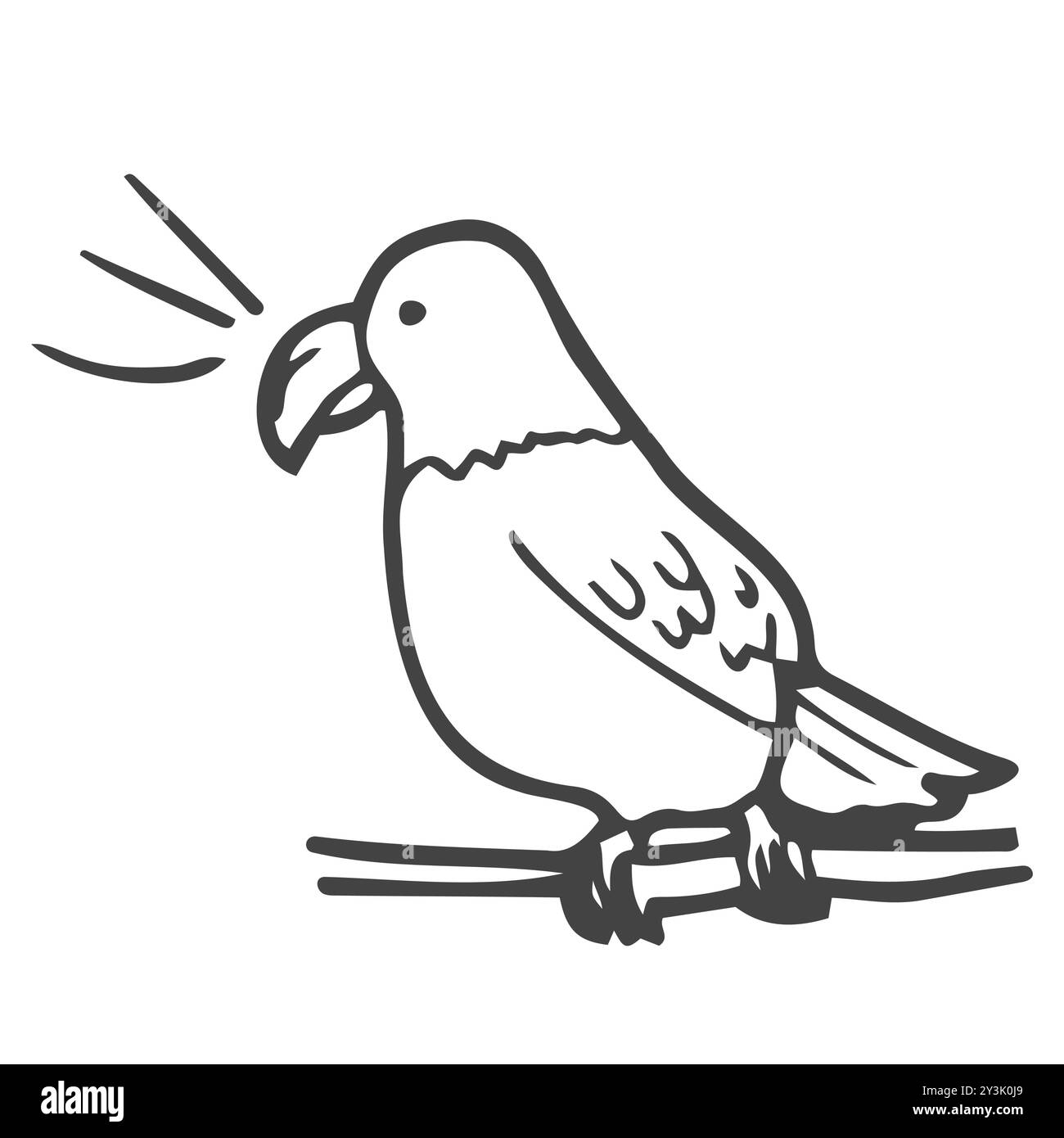Doodle Parrot sketch in vector. Line drawing of parrot Stock Vector ...