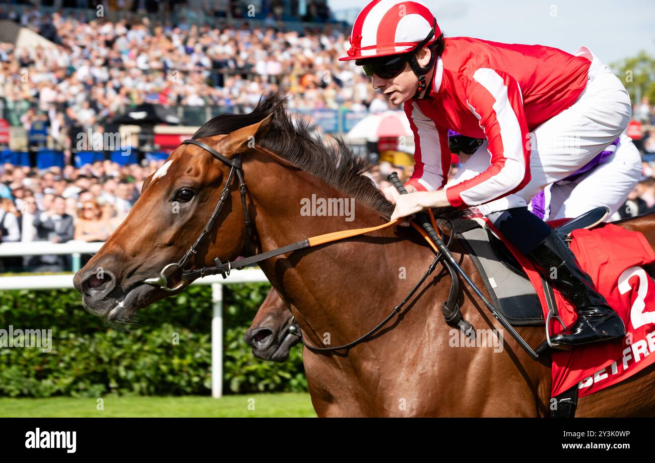 Doncaster, UK, Saturday 14th September 2024; Bay City Roller and Callum ...