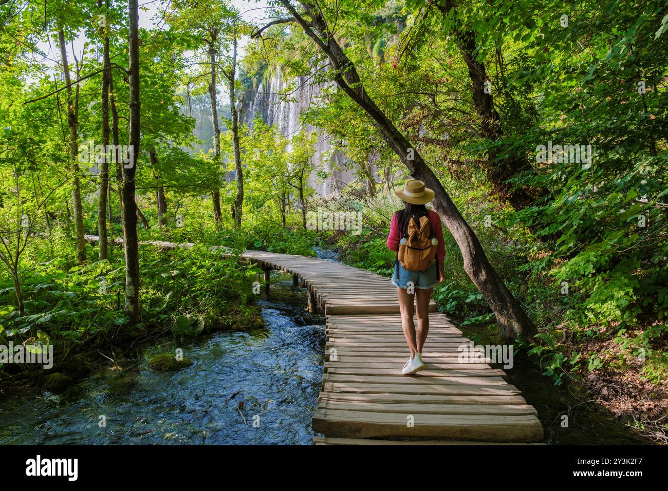 Wandering along wooden pathways, one finds tranquility surrounded by ...