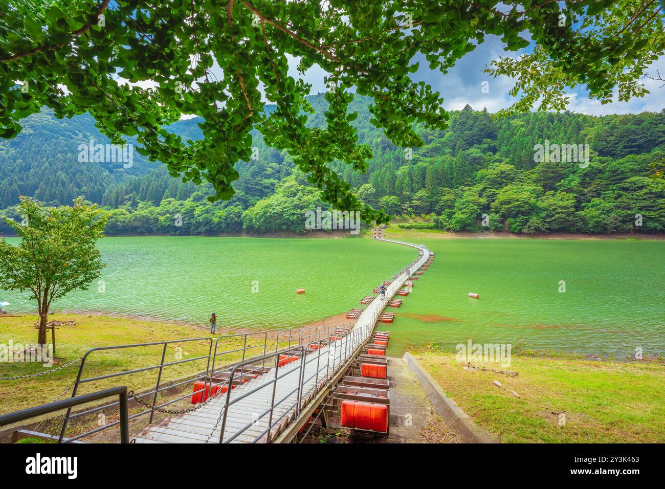 Japan lake Okutama in Summer Stock Photo - Alamy