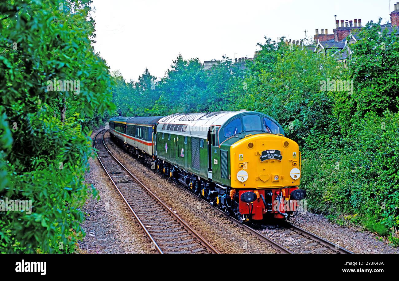 Class 40 d213 andania hi-res stock photography and images - Alamy