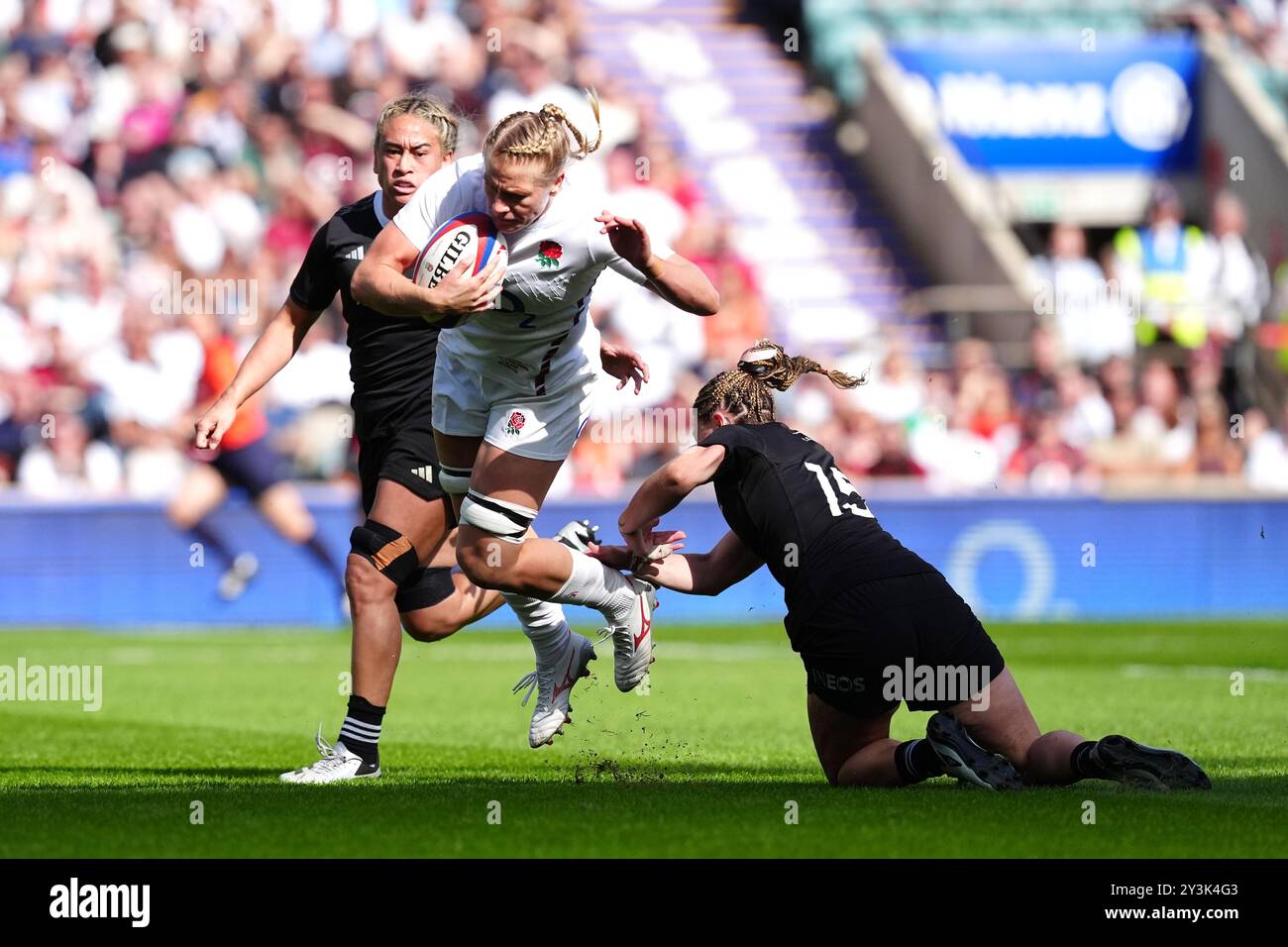 Alex renee hi-res stock photography and images - Alamy