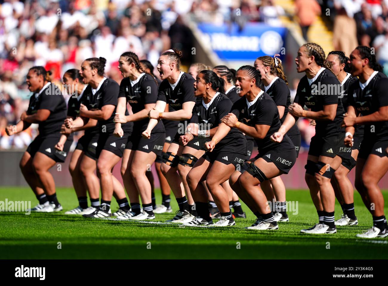 New Zealand perform the haka ahead of the Women's International match ...
