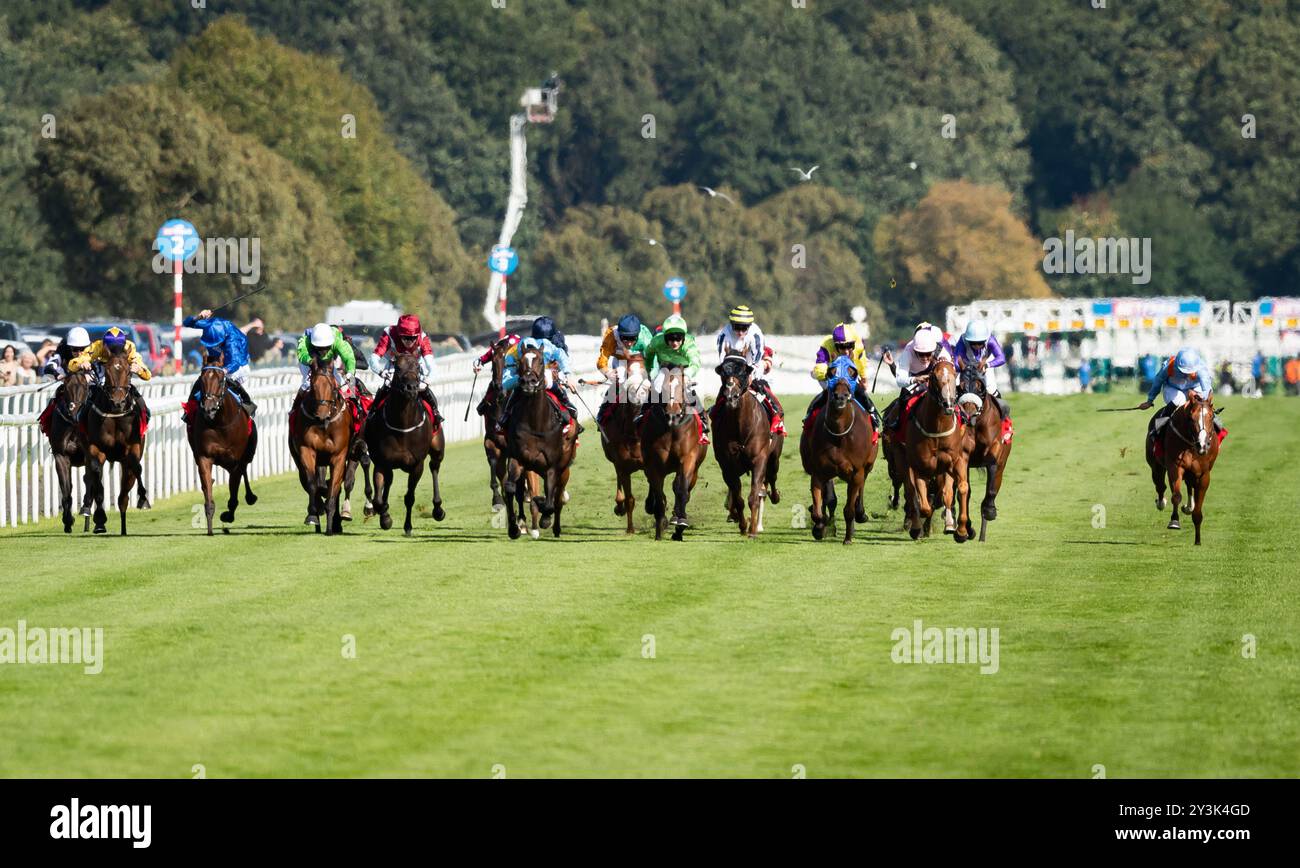 American horse racing hi-res stock photography and images - Alamy