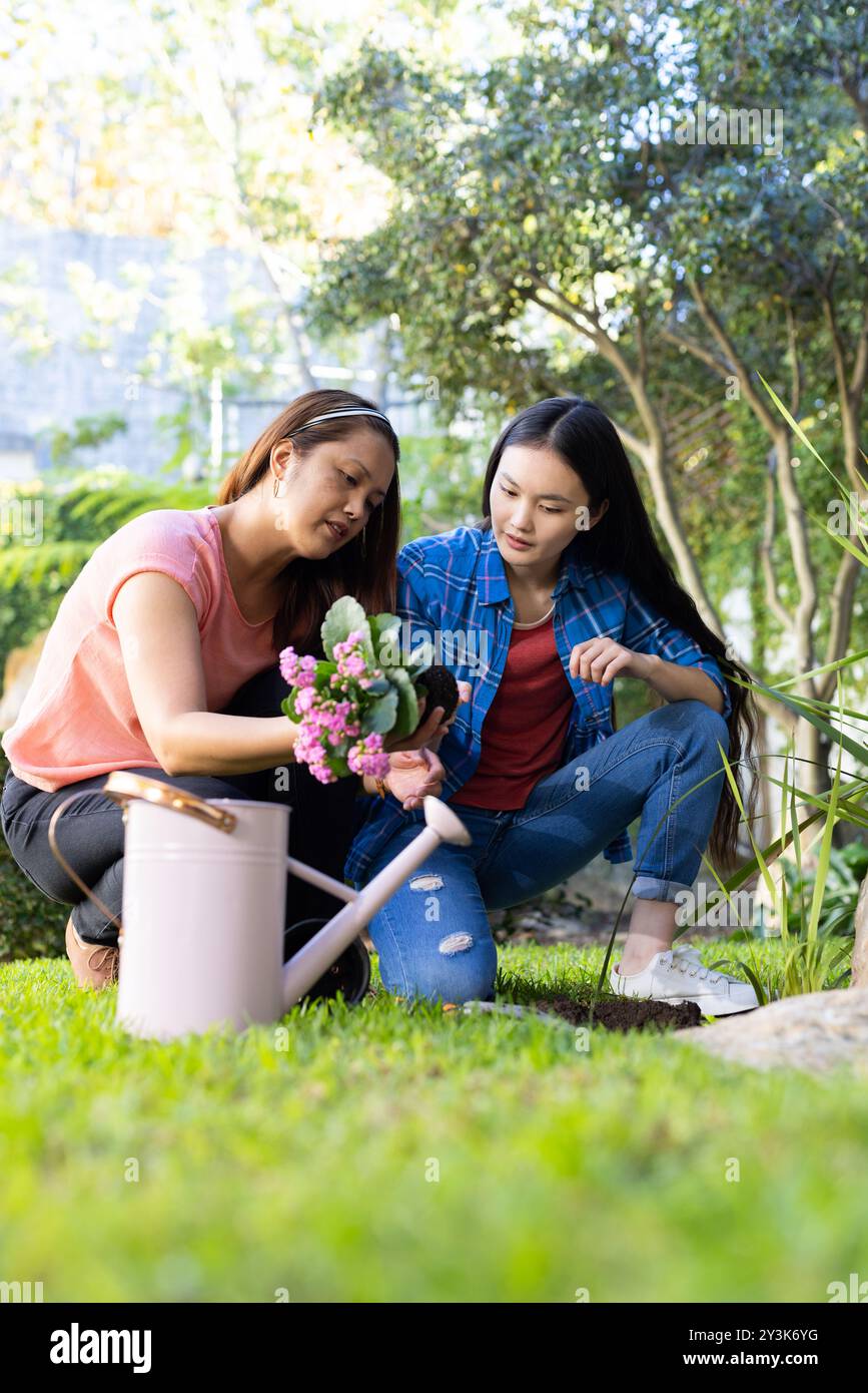Gardening together, asian mother and daughter planting flowers in ...