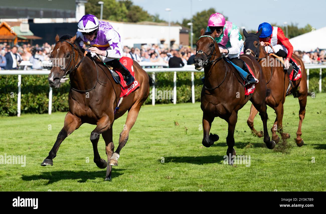 Mr mark chan hi-res stock photography and images - Alamy