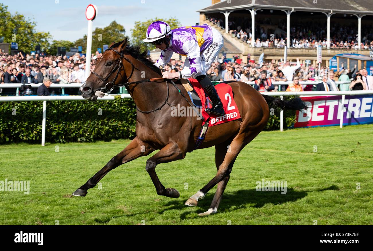 Doncaster, UK, Saturday 14th September 2024; Kinross and jockey Rossa ...