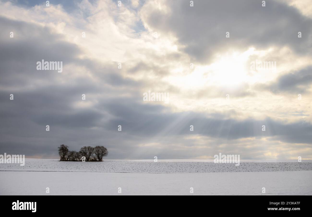 Meadow covered in snow, a cluster of trees and a dramatic sky sun rays ...