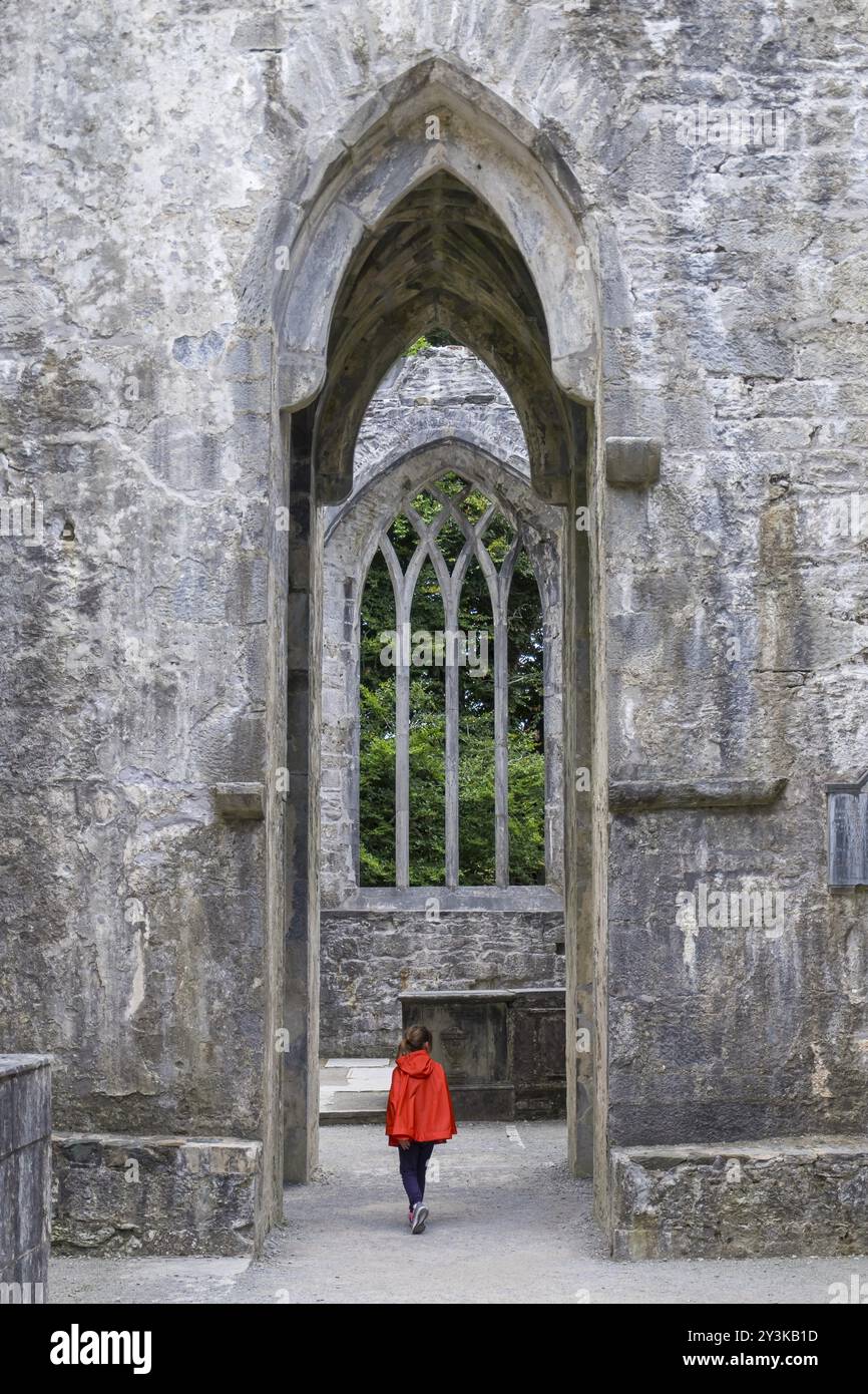 Muckross Abbey, ruined monastery, Killarney National Park, County Kerry ...