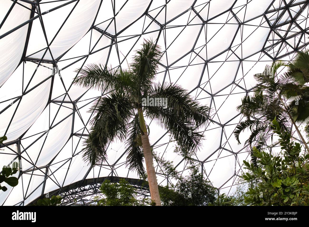 A view of a modern greenhouse with a geometric glass roof, featuring ...
