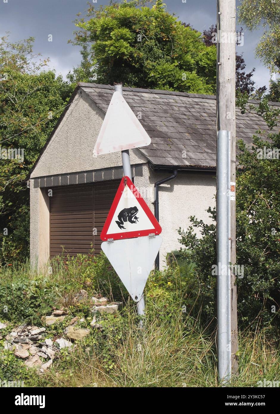 A triangular toad crossing traffic warning sign on a country road in ...