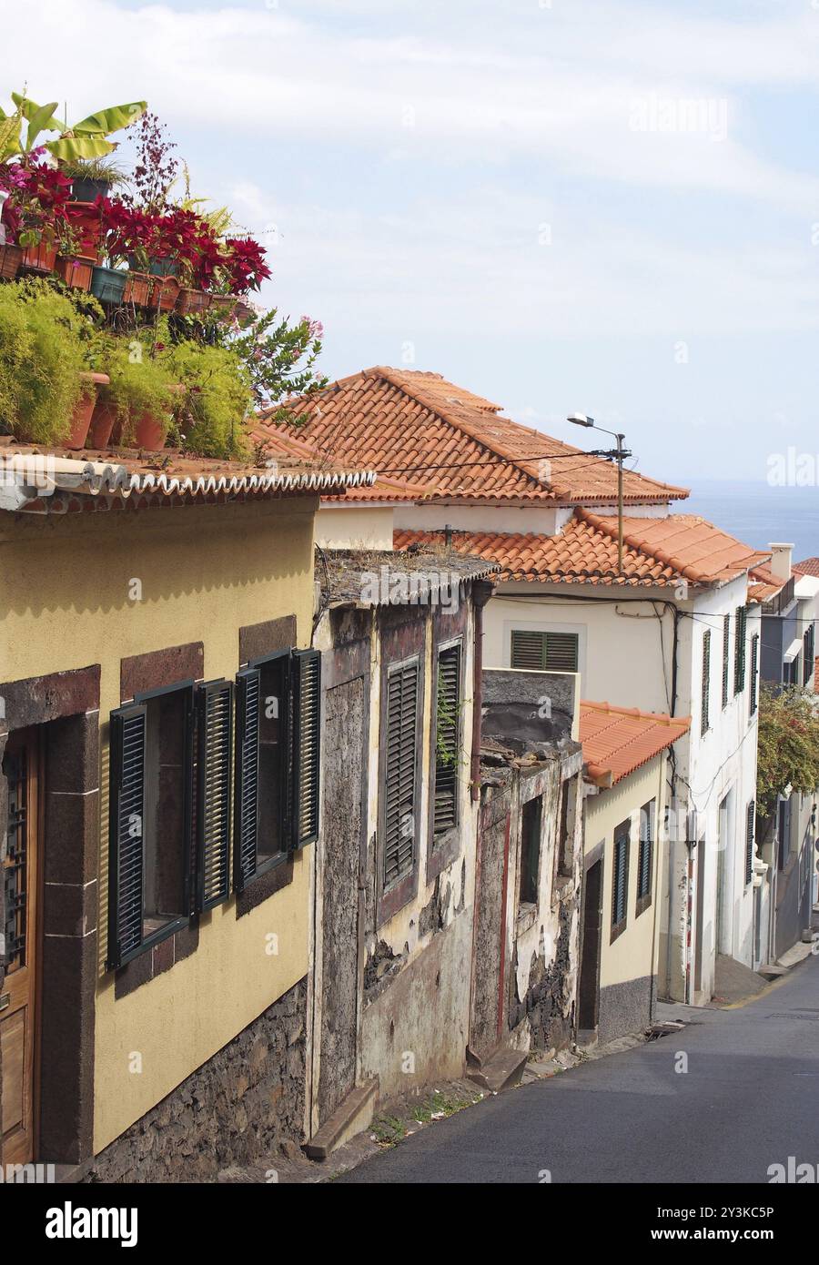 Old traditional houses on a downhill street in funchal madeira with ...