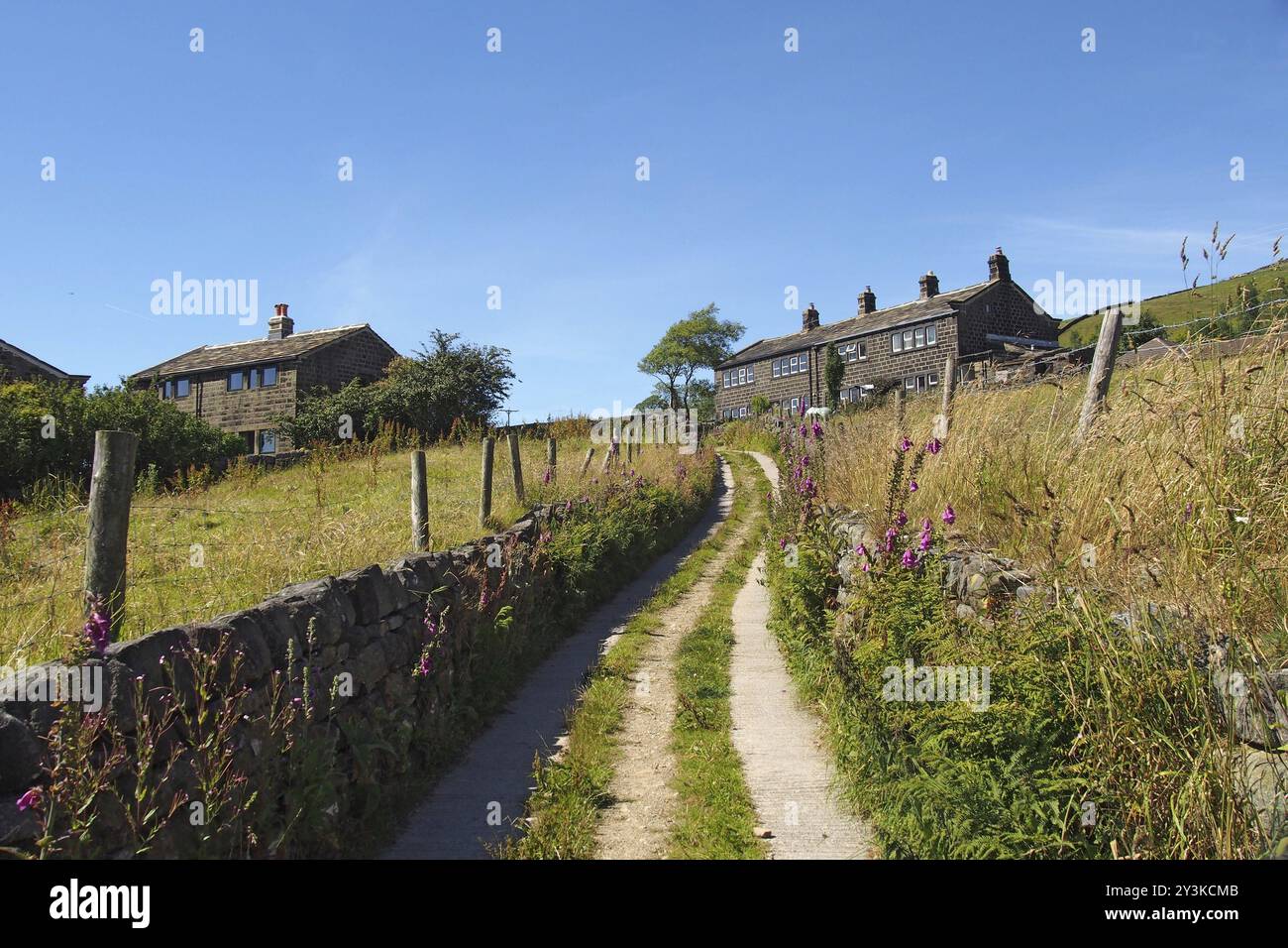 Town of colden hi-res stock photography and images - Alamy