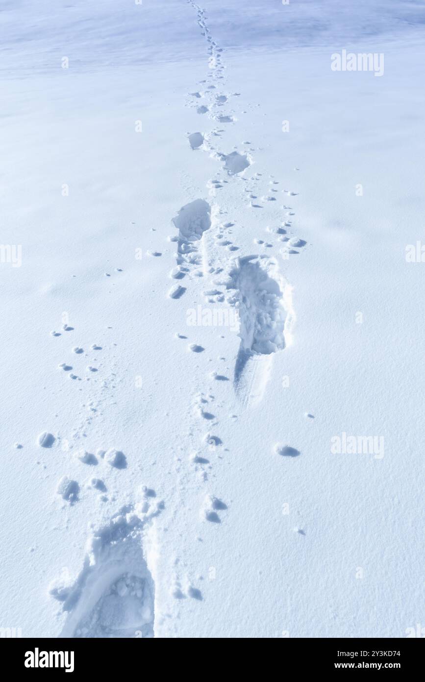 Elements of a rich winter, a thick layer of snow with footsteps in it ...