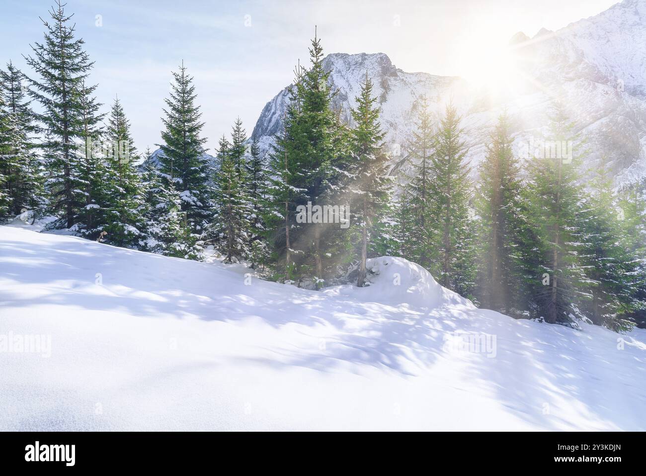 Winter scenery with the snow-capped peak of the Alps mountains and the ...