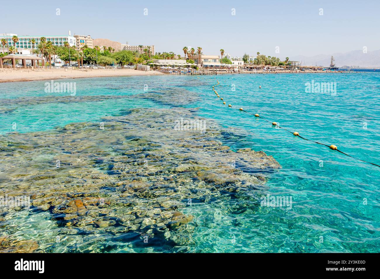 Clear waters of the Red Sea with coral reef and marine life. Eilat ...