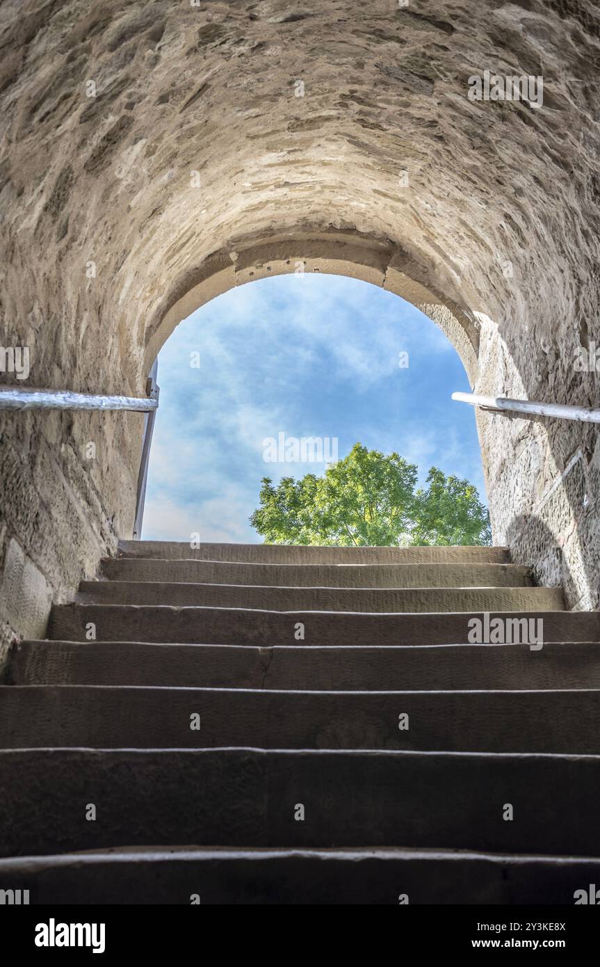 Stone stairs and the arched roof from a medieval basement with a view ...