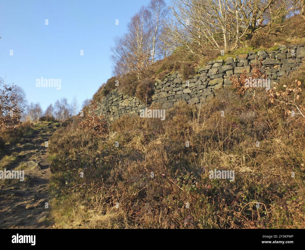 A narrow footpath next to a stone wall going uphill in west yorkshire ...
