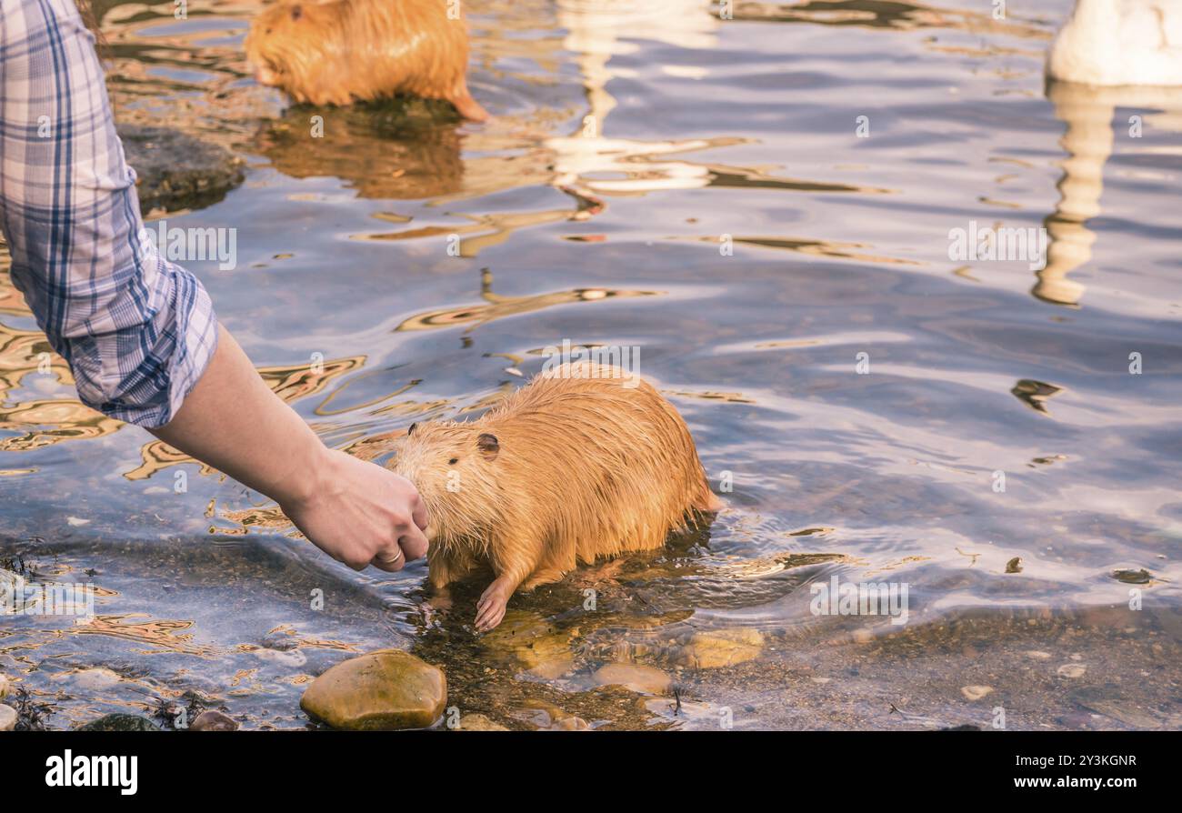 Animal photography taken in Prague, Czech Republic with a very friendly ...