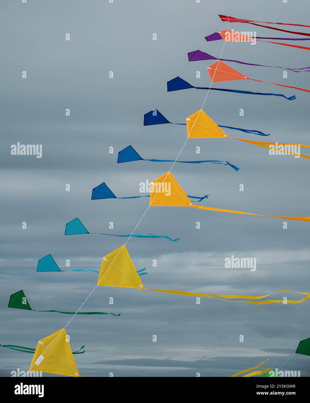 Captures the activi hi-res stock photography and images - Alamy