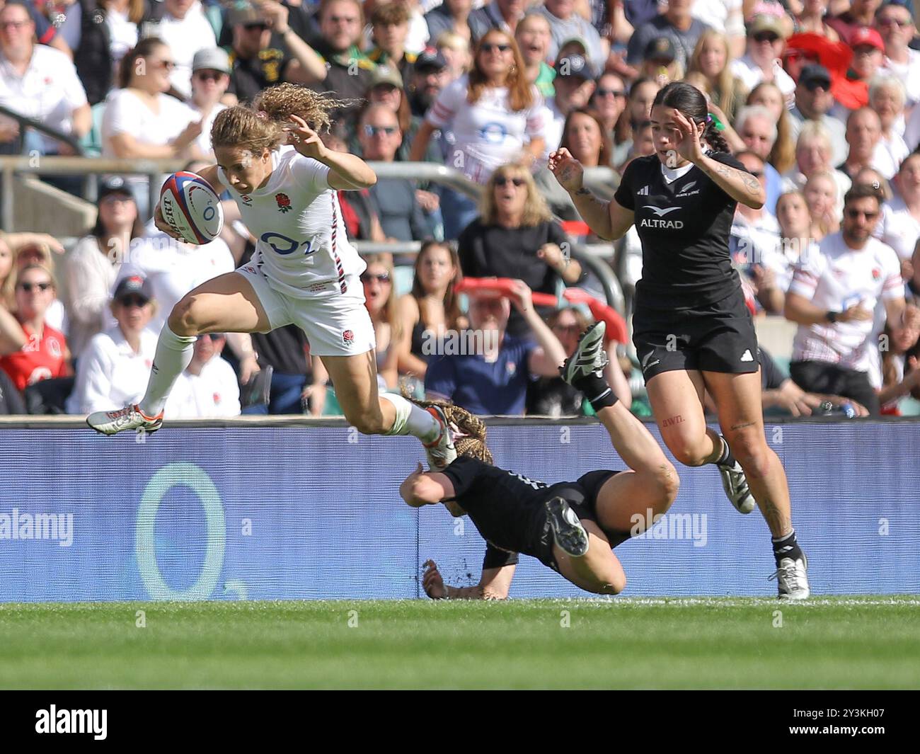 Jay dow hi-res stock photography and images - Alamy