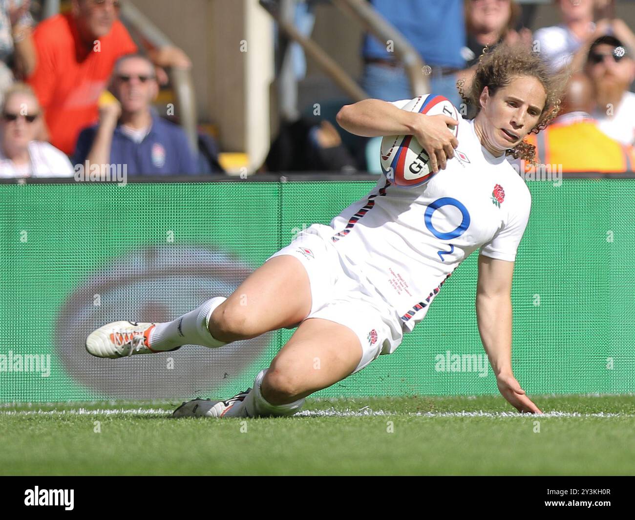 Jay dow hi-res stock photography and images - Alamy