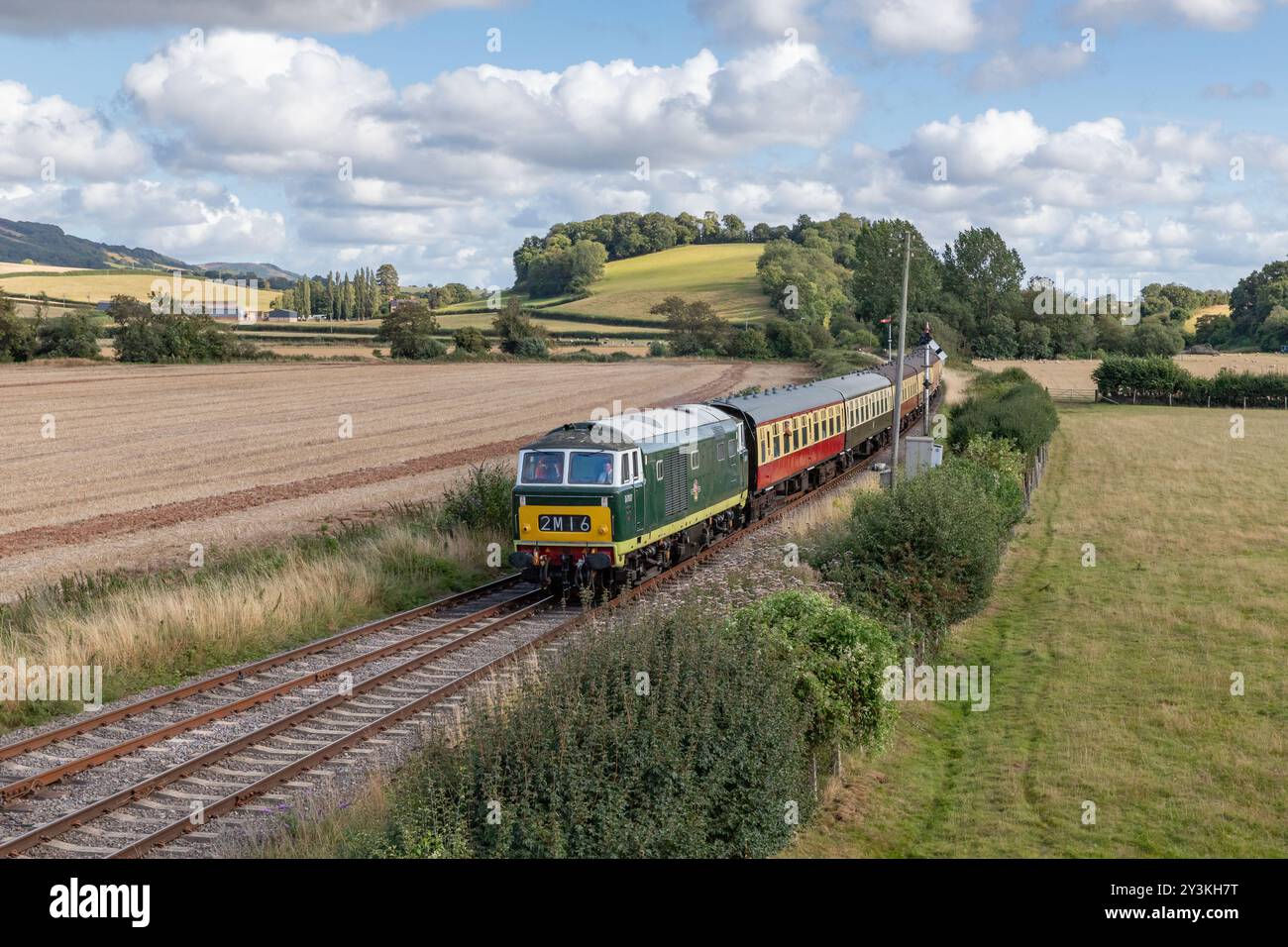 Beyer Peacock Hymek D7017 approaches Williton station Stock Photo - Alamy
