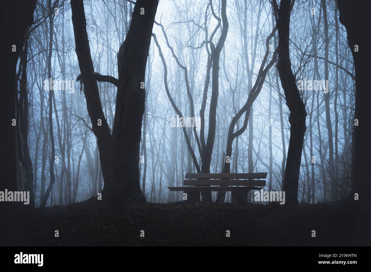 Cold fall landscape with a wooden bench in a forest, with silhouettes ...