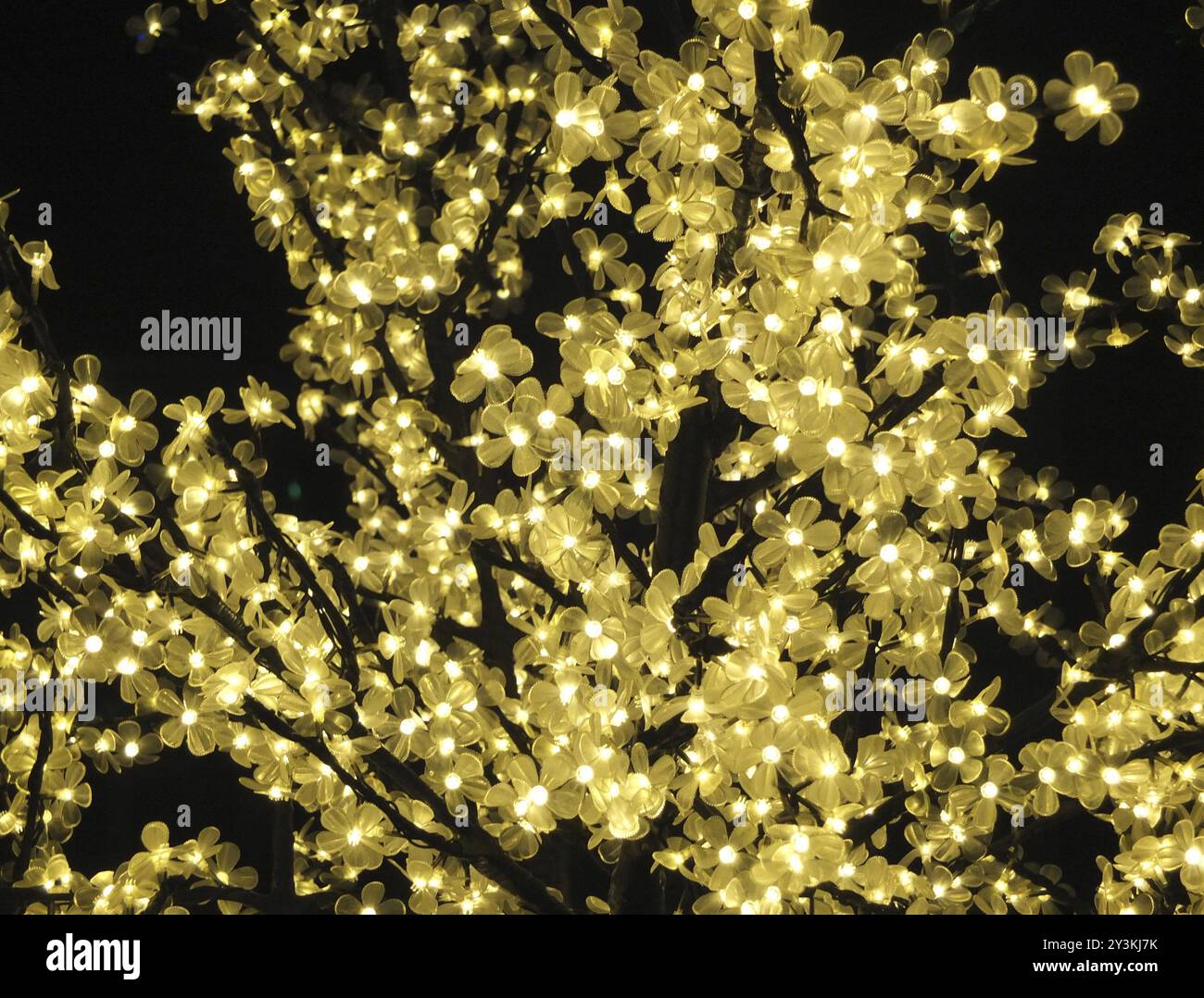 Yellow fairy lights wrapped around a tree Stock Photo - Alamy
