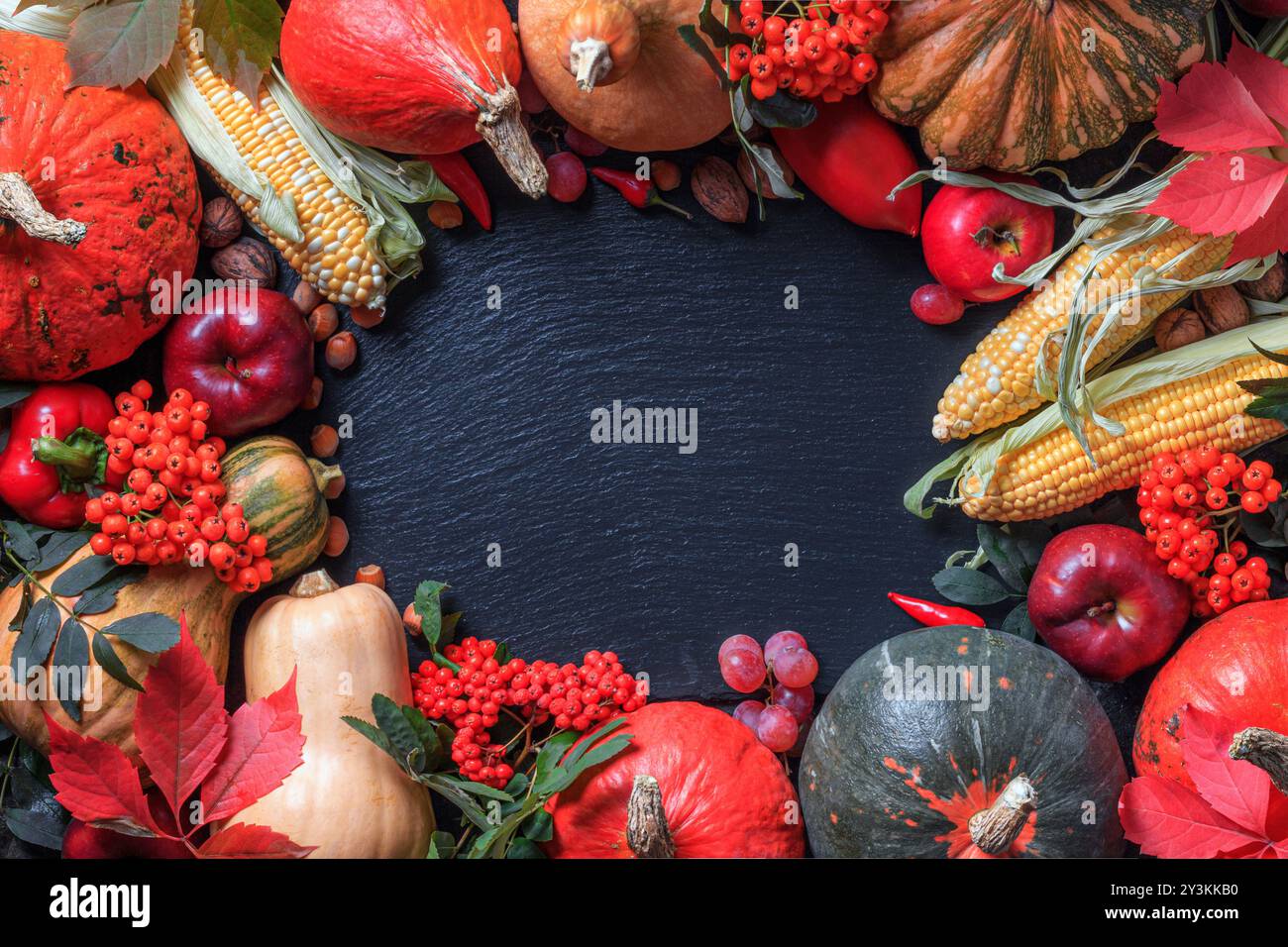 Autumn agricultural frame made of fruits and vegetables with copy space ...