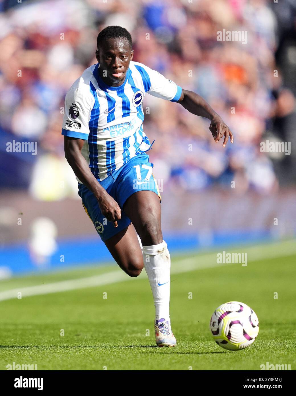 Brighton and Hove Albion's Yankuba Minteh during the Premier League ...
