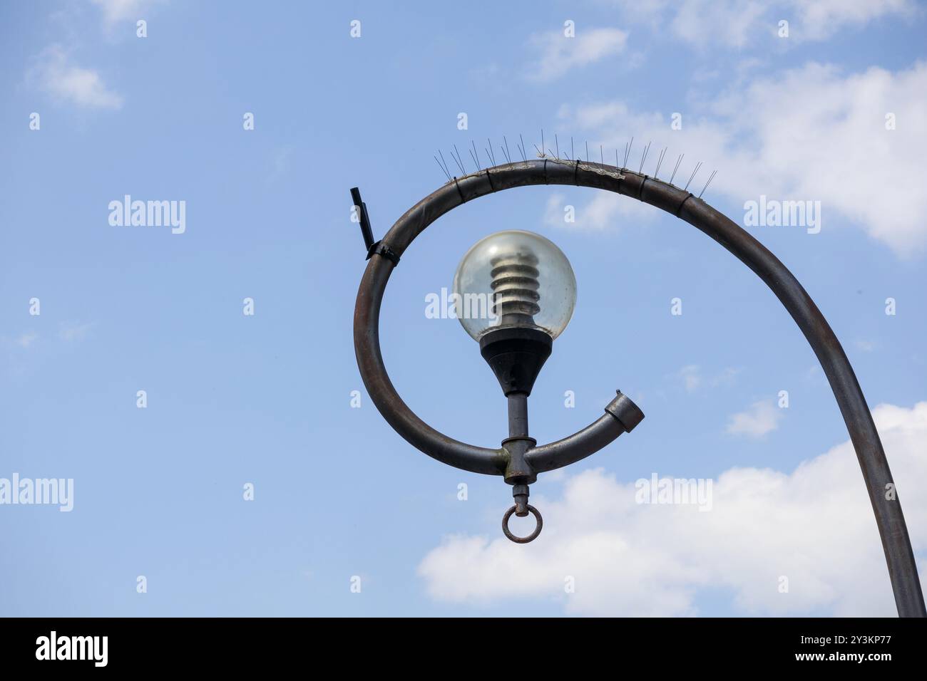 Light bulb in stem hi-res stock photography and images - Alamy