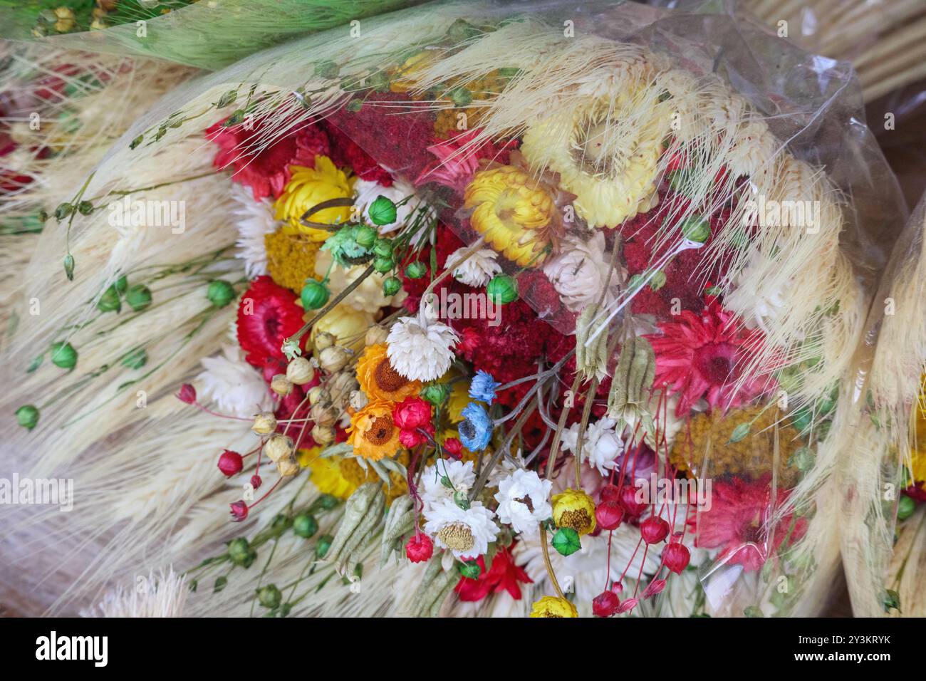 Colorful flower basket with colorful flowers Stock Photo - Alamy