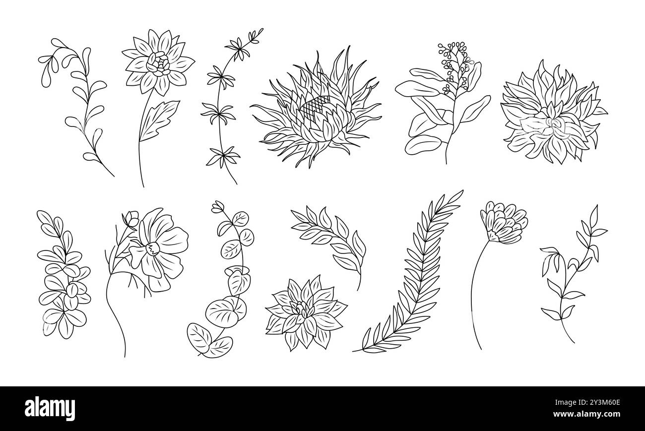 Set of autumn flowers and plants line art isolated Stock Vector Image ...
