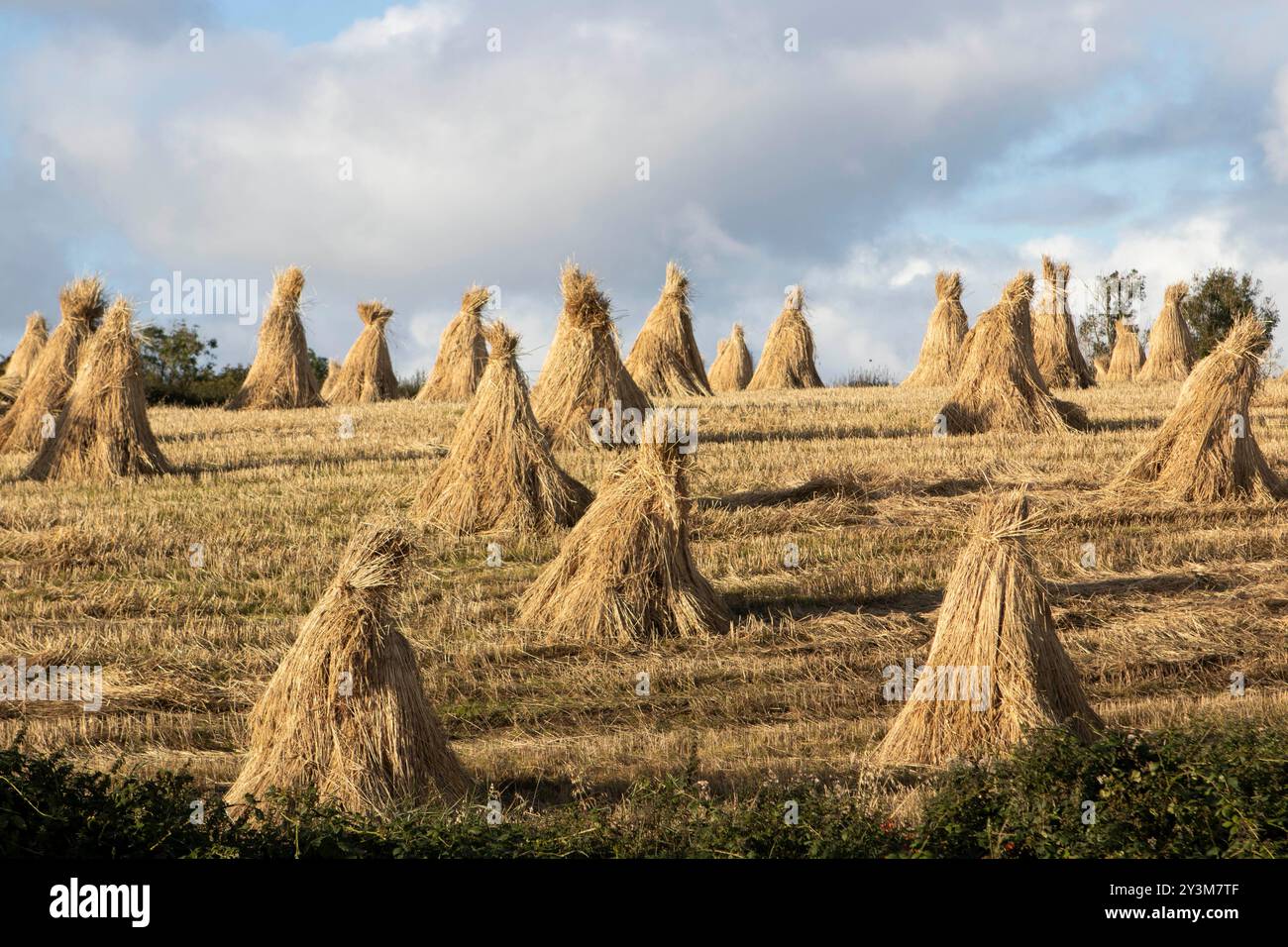 Haystacks in the sun hi-res stock photography and images - Alamy