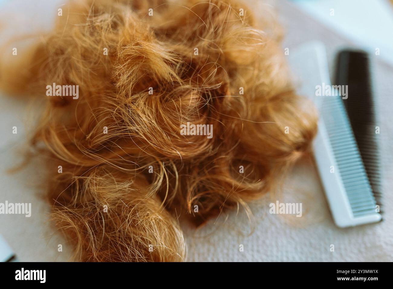 locks of cropped red hair Stock Photo - Alamy