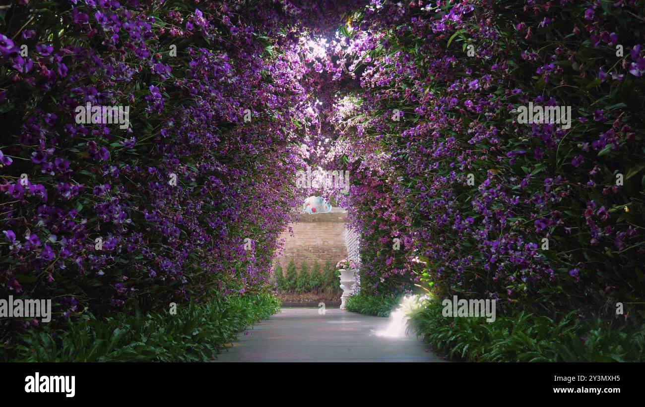 Beautiful pathway covered in hi-res stock photography and images - Alamy