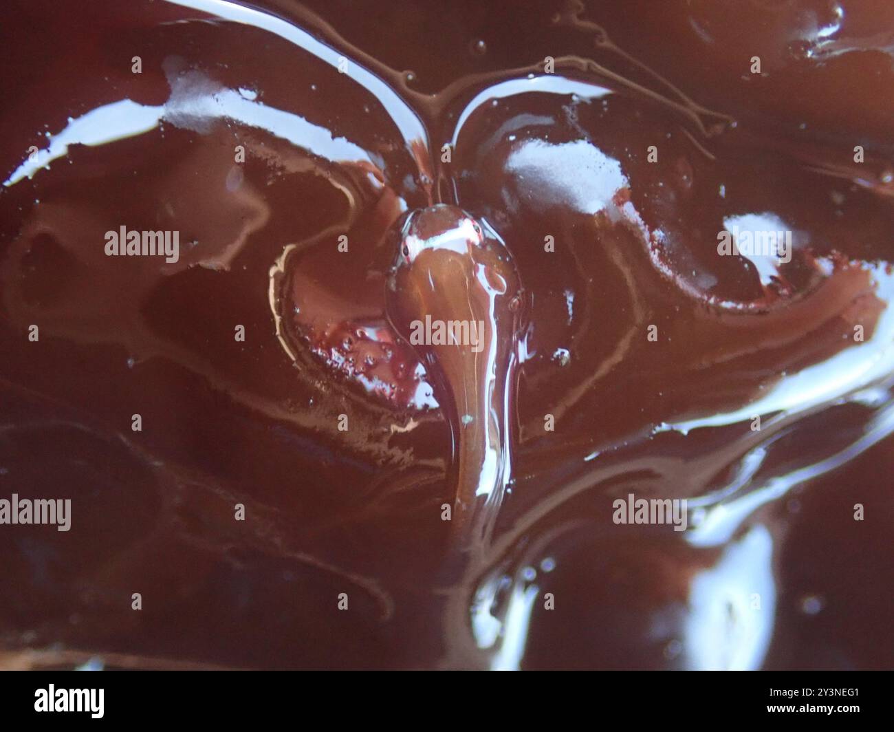 Northern Clingfish (Gobiesox maeandricus) Actinopterygii Stock Photo ...