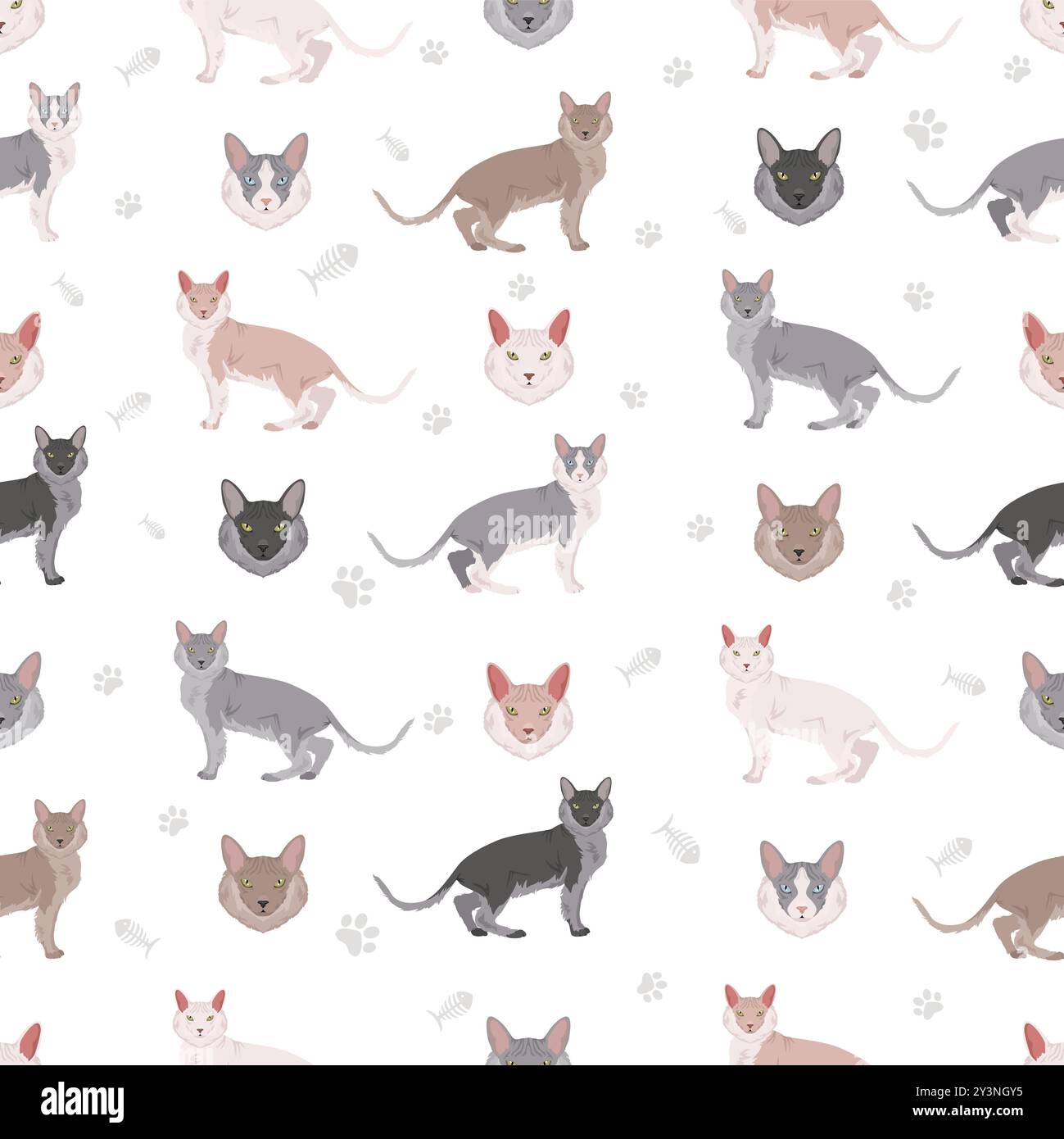 Donskoy, Don Sphynx Cat seamless pattern. All coat colors set. All cat ...